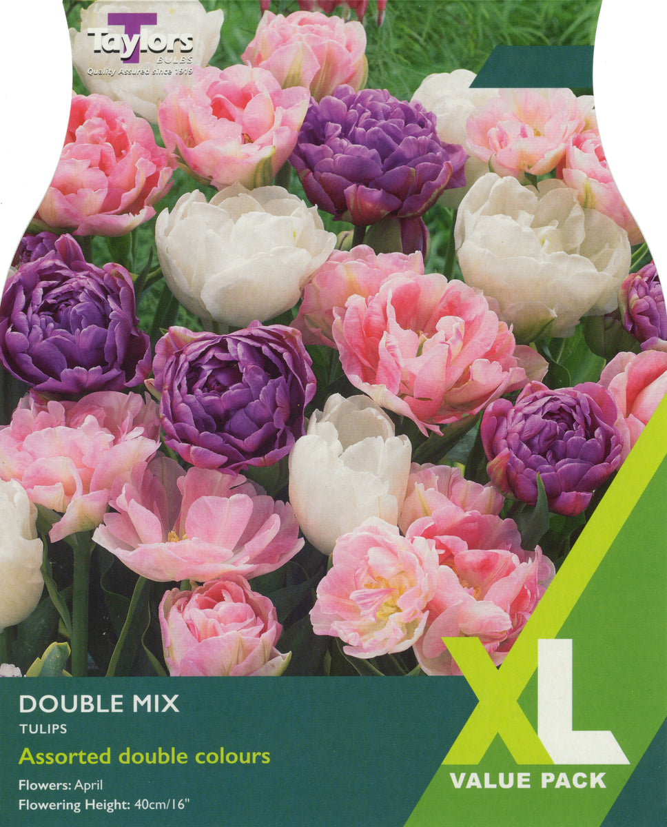 Taylors Bulbs - Tulip Double Mix - Pack of 18 – Southwood Garden Centre