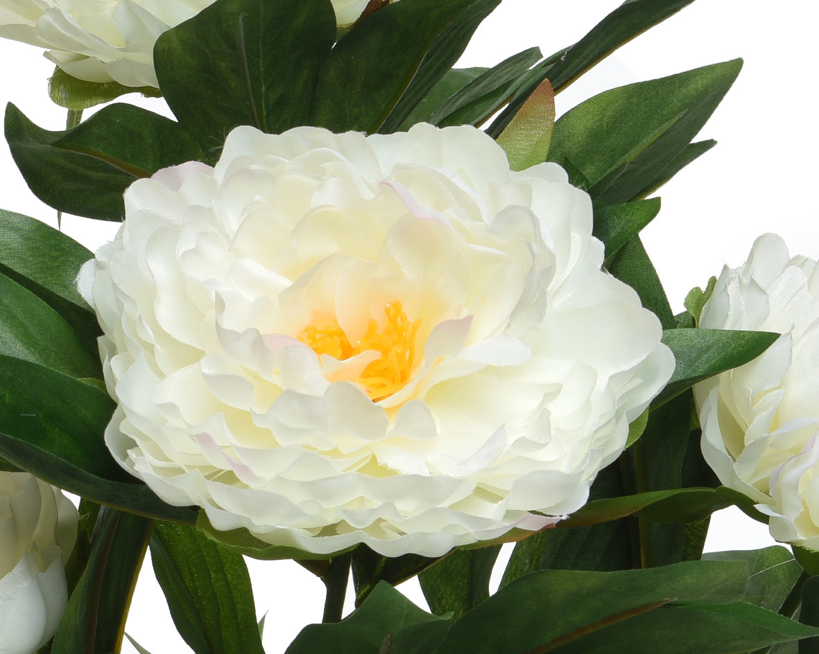 Artificial Potted White Peony Rose – Southwood Garden Centre