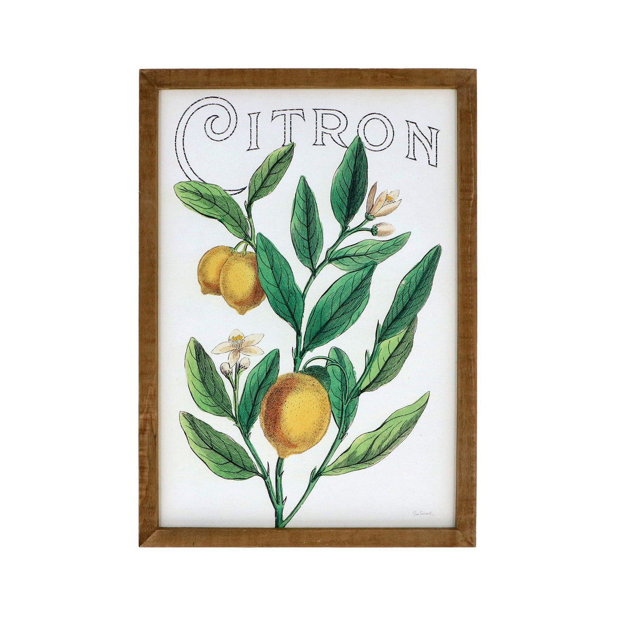 Gisela Graham Lemon Citron Wood Wall Plaque – Southwood Garden Centre