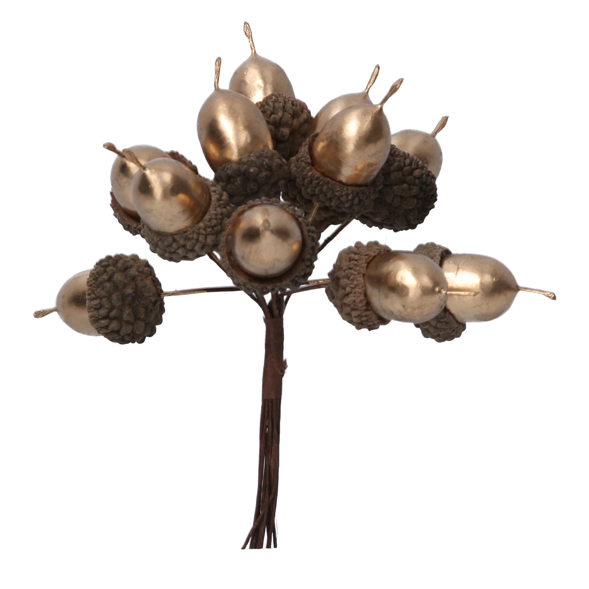 Gisela Graham - Matt Gold Acorn Pick Bunch – Southwood Garden Centre
