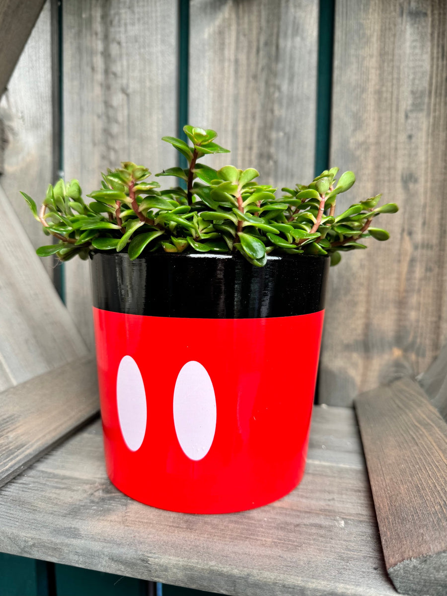 Disney Mickey Mouse Traditional House Plant Pot - Medium – Southwood ...