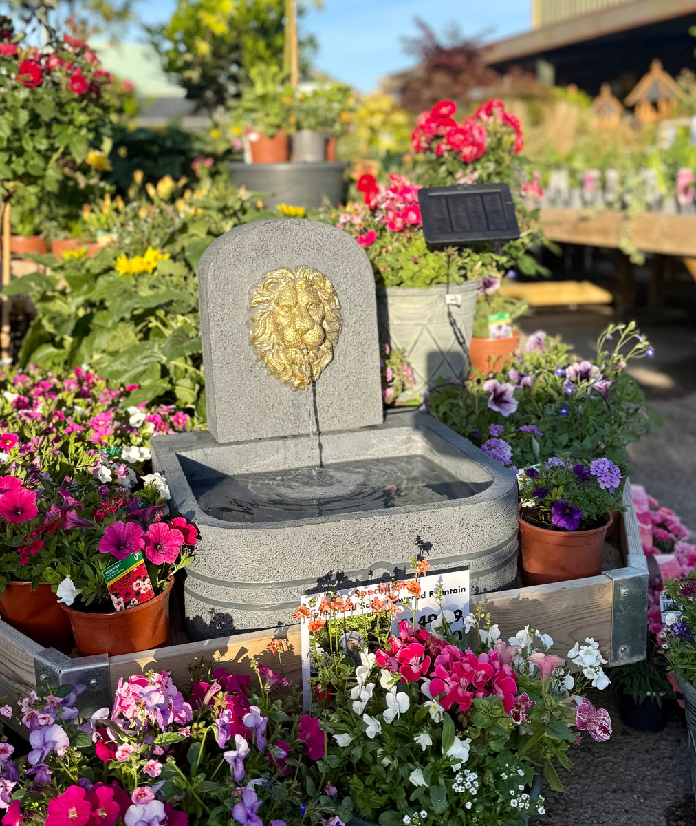 Smart Garden Lions Head Solar Garden Water Feature - Special Offer ...
