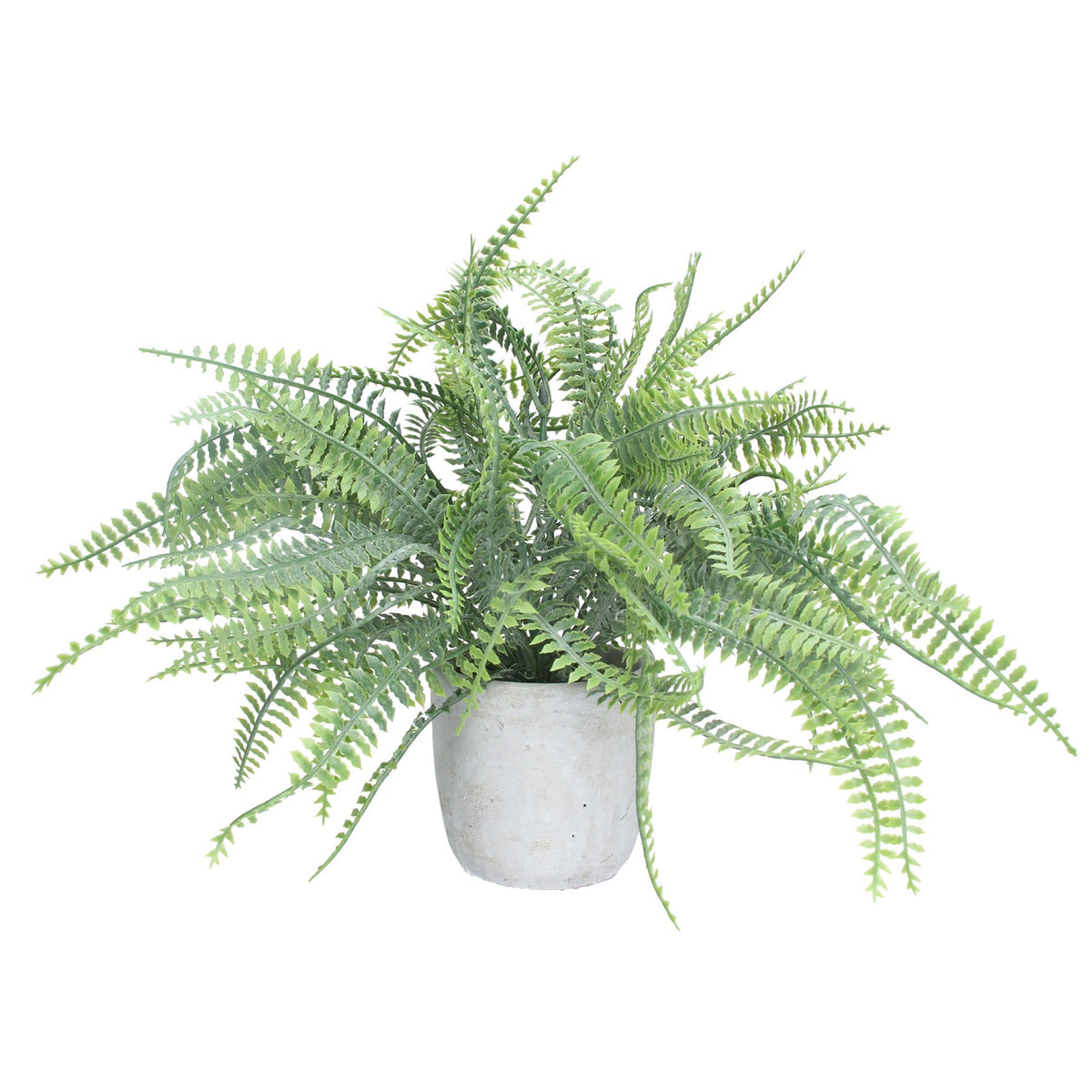 Gisela Graham - Faux Spider Fern Potted Plant 30cm – Southwood Garden ...