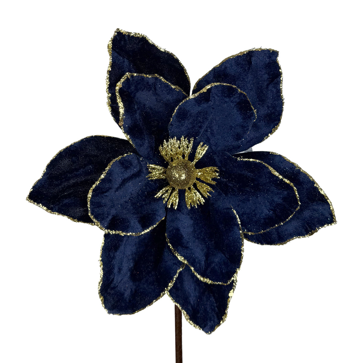 Navy Velvet Magnolia - 23cm – Southwood Garden Centre