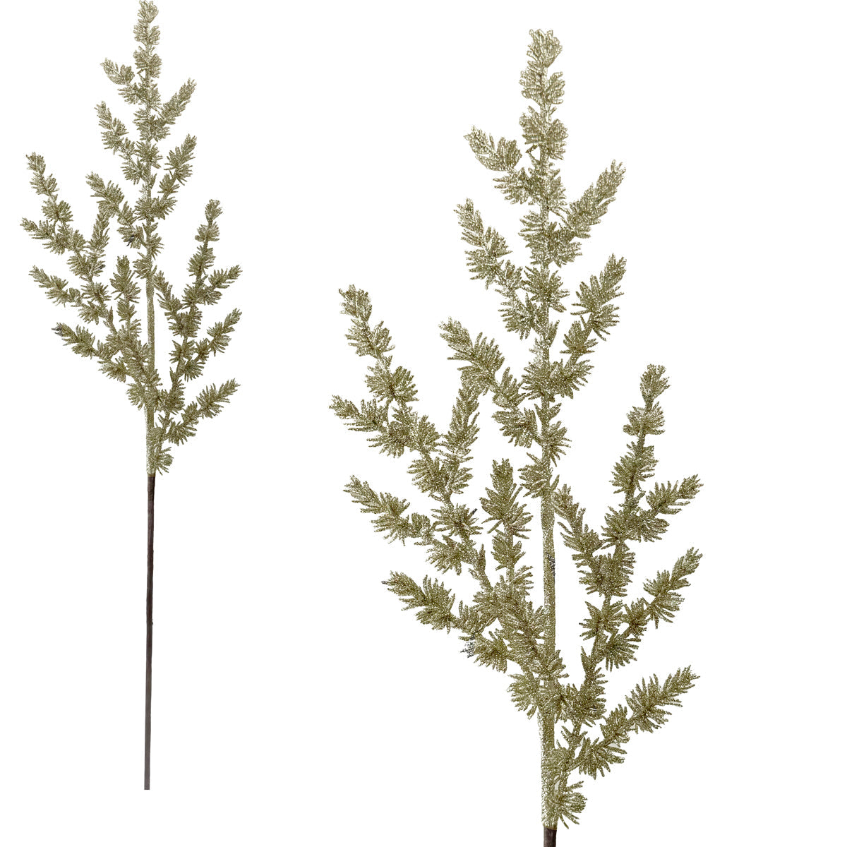 Champagne Spiky Fir Stem - 69cm – Southwood Garden Centre