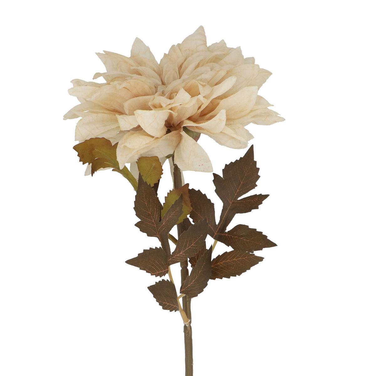 Gisela Graham - Antique Cream Dahlia Artificial Flower Stem 56cm ...