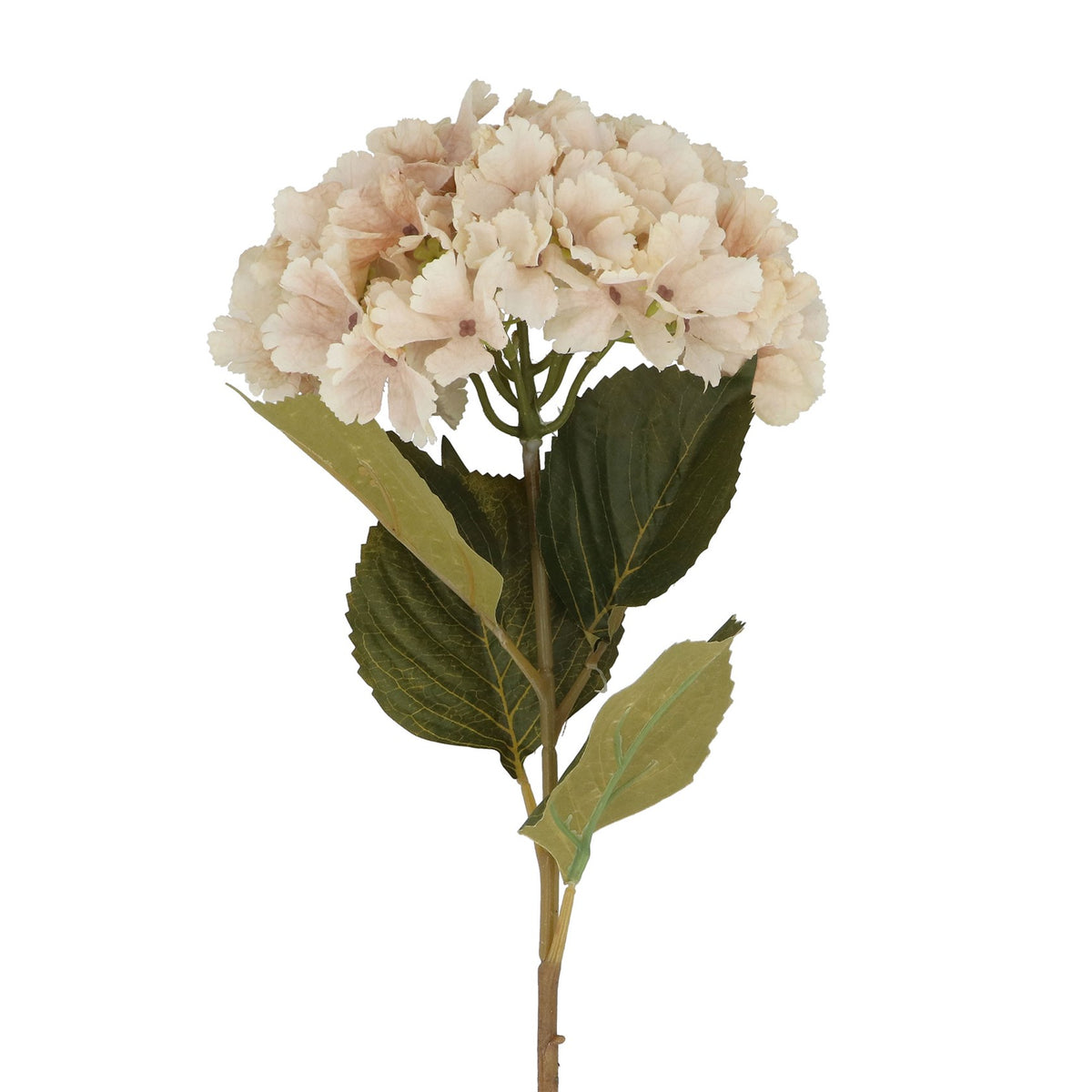 Gisela Graham - Antique Cream Hydrangea Artificial Flower Stem 84cm ...
