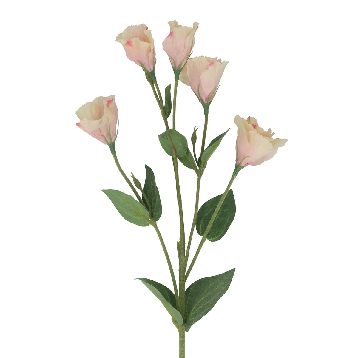 Gisela Graham - Blush Pink Lisianthus Artificial Flower Spray 76cm ...