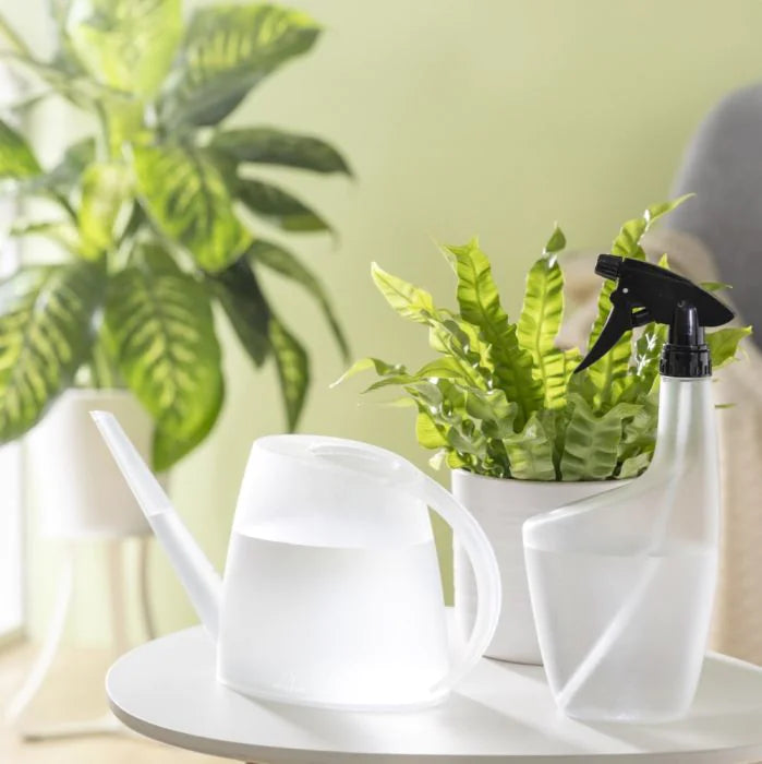 Scheurich Lilly Clear Pearl Watering Can – Southwood Garden Centre