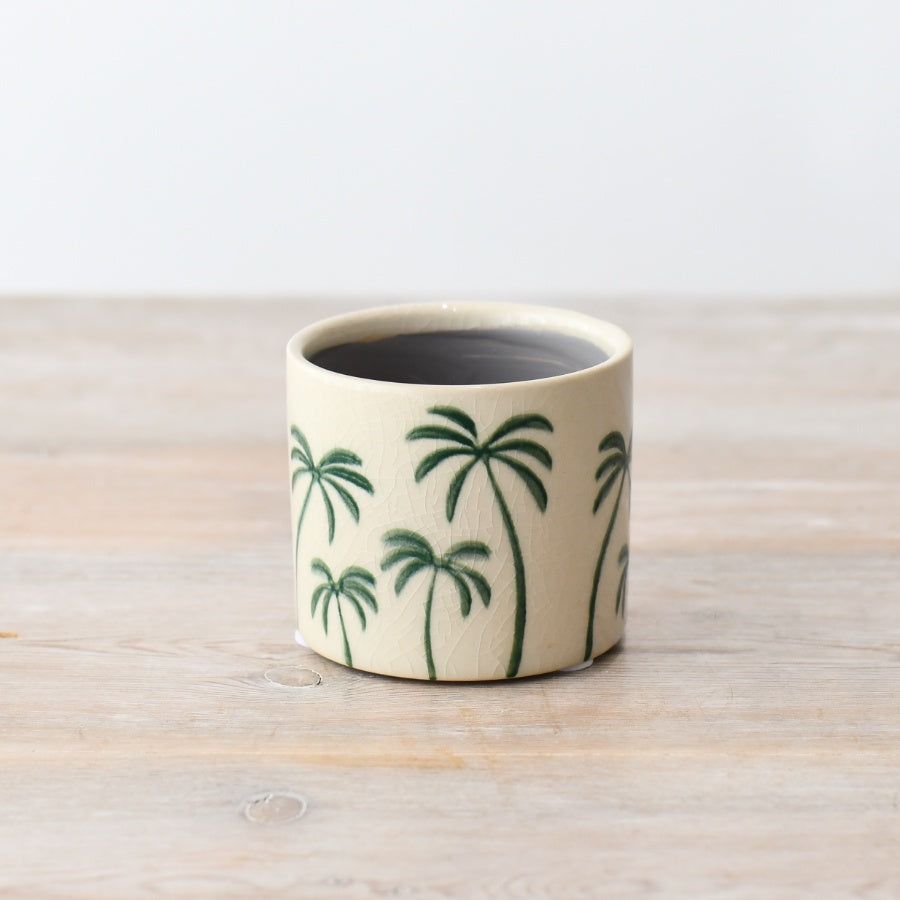 Small Palm Tree House Plant Pot- 8cm – Southwood Garden Centre