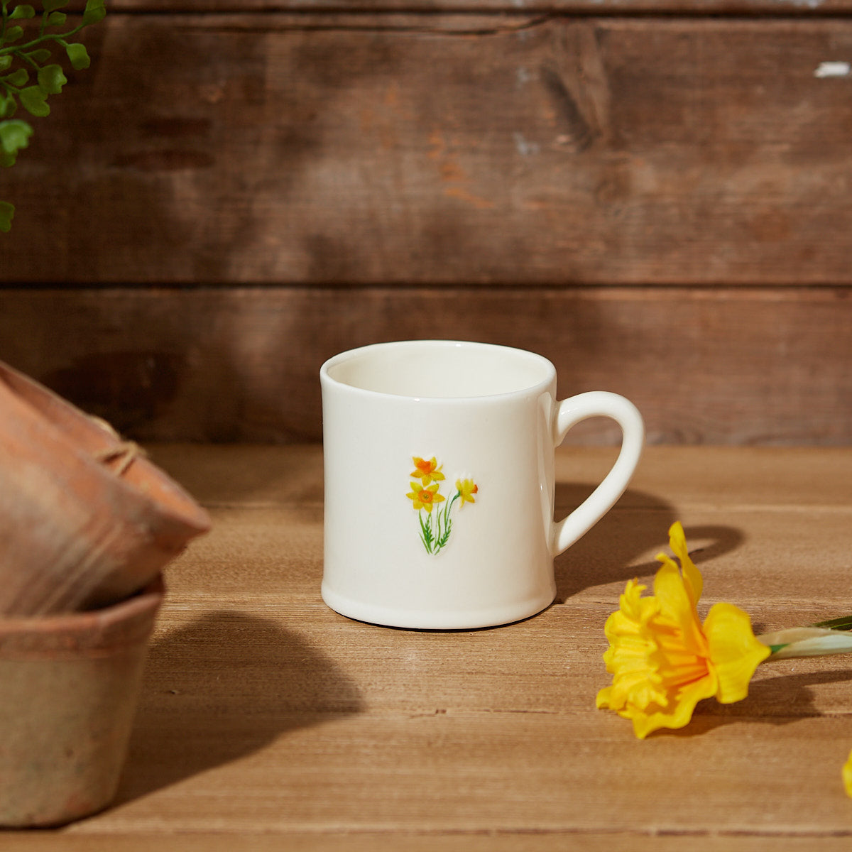 Stoneware Daffodil Embossed Mug – Southwood Garden Centre