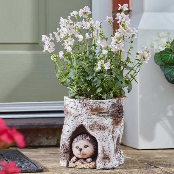 Hog Log Hedgehog Planter – Southwood Garden Centre