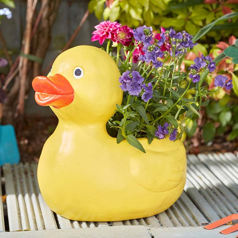 Smart Garden Yellow Rubber Duck Planter – Southwood Garden Centre