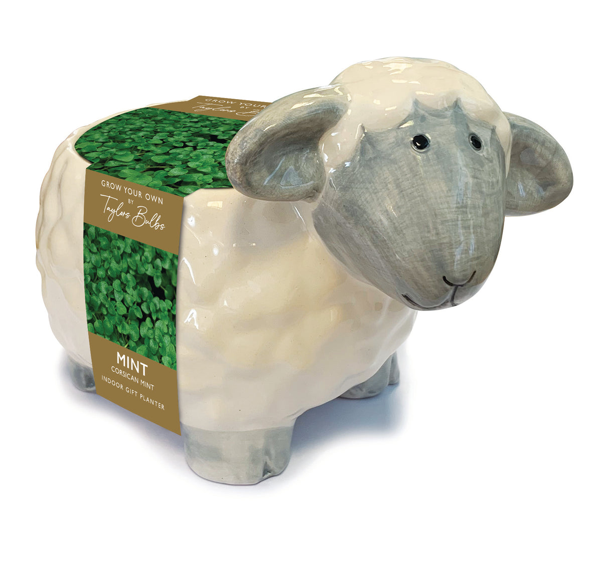 Novelty Sheep Planter – Southwood Garden Centre
