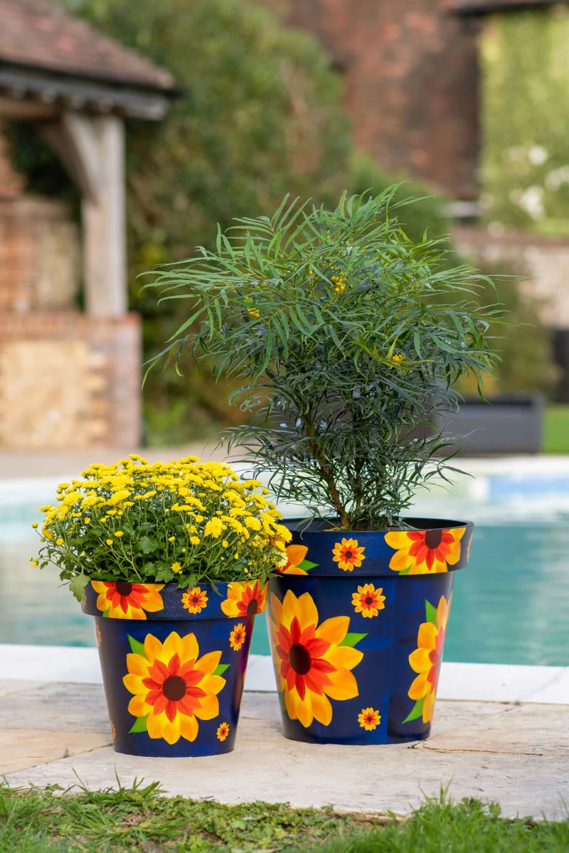 Creekwood 38cm Zest Sunflower Plant Pot – Southwood Garden Centre