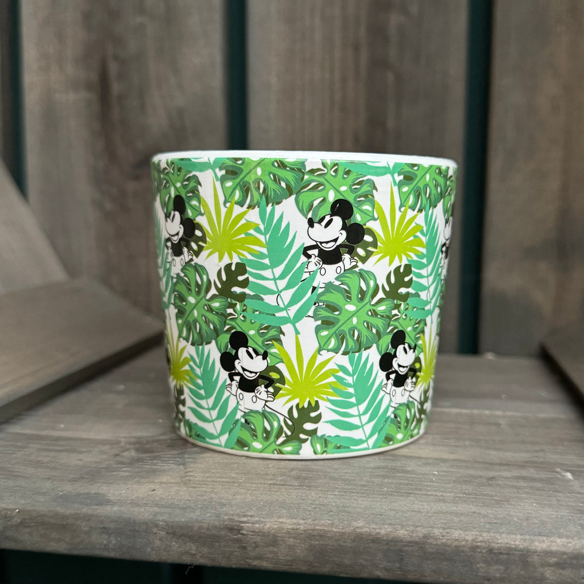 Disney Mickey Mouse Tropical Leaf House Plant Pot - Small – Southwood ...