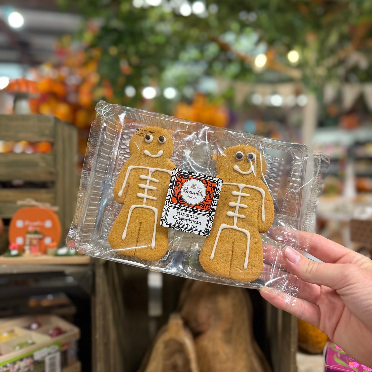 Gingerbread Skeleton Twin Pack – Southwood Garden Centre