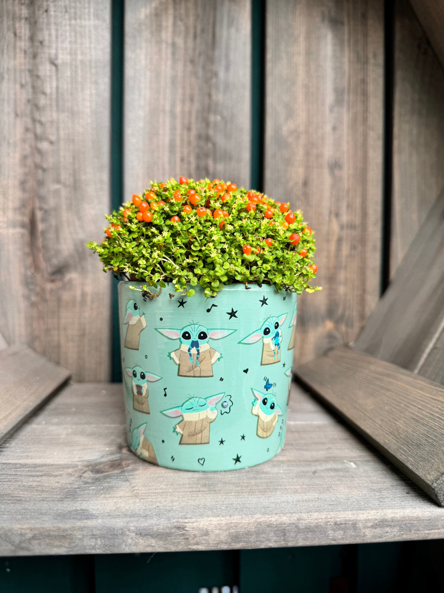 Disney Star Wars GROGU Baby Yoda Green Small House Plant Pot ...