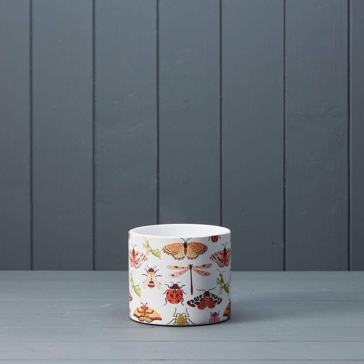 Insect Houseplant Pot (12cm) – Southwood Garden Centre