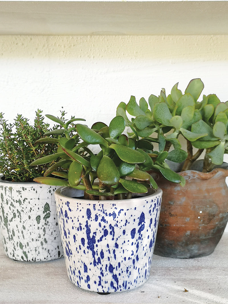 Plant Pot Splash Blue/Green Medium 12x10cm – Southwood Garden Centre