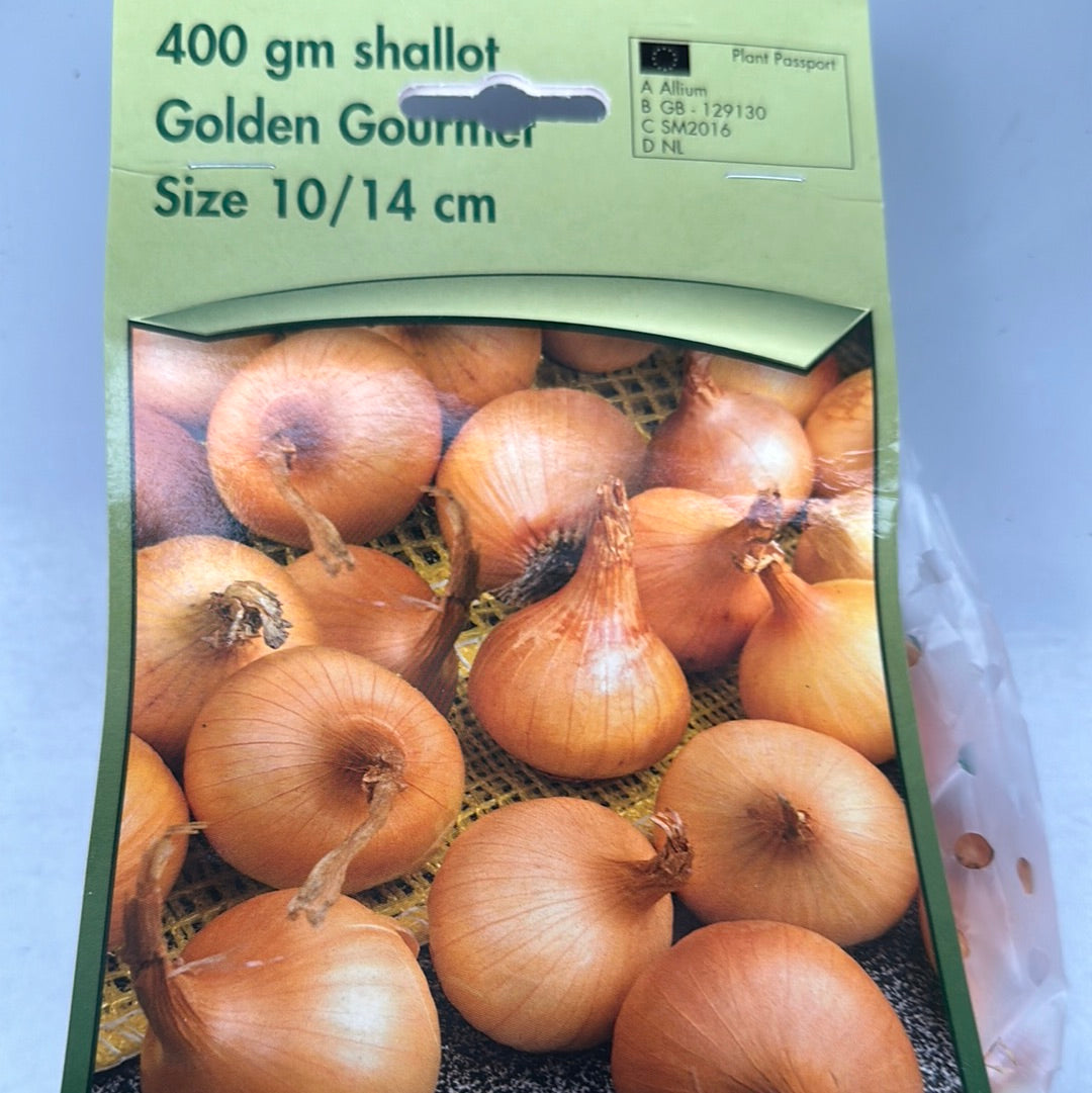 GOLDEN GOURMET Shallot 400gm (approximately 16) – Southwood Garden Centre