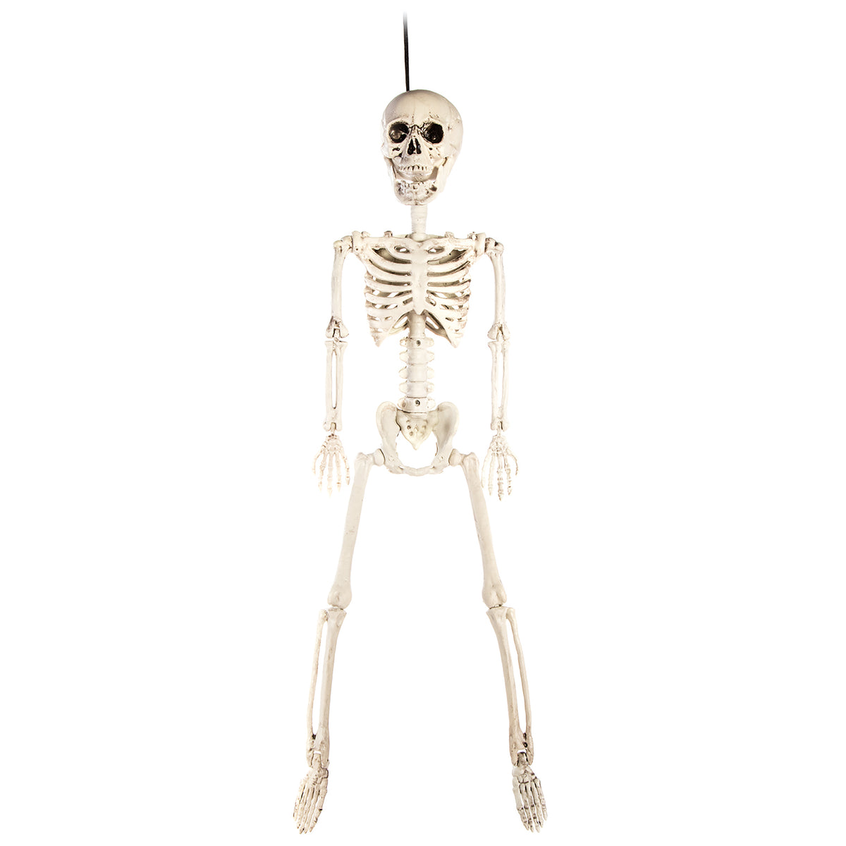Hanging Halloween Posable Skeleton 60cm – Southwood Garden Centre