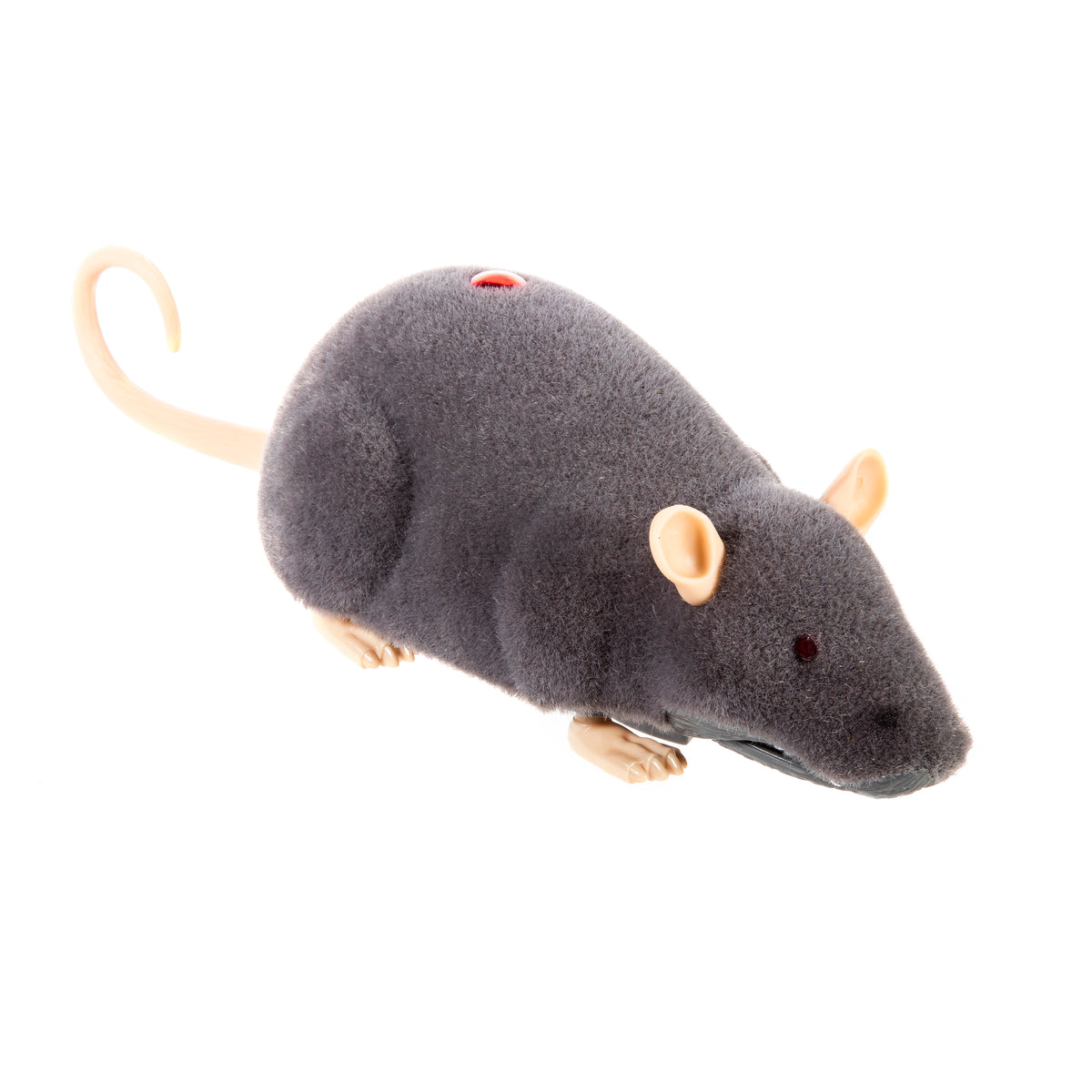 Halloween Remote Control Mouse Rat Toy – Southwood Garden Centre