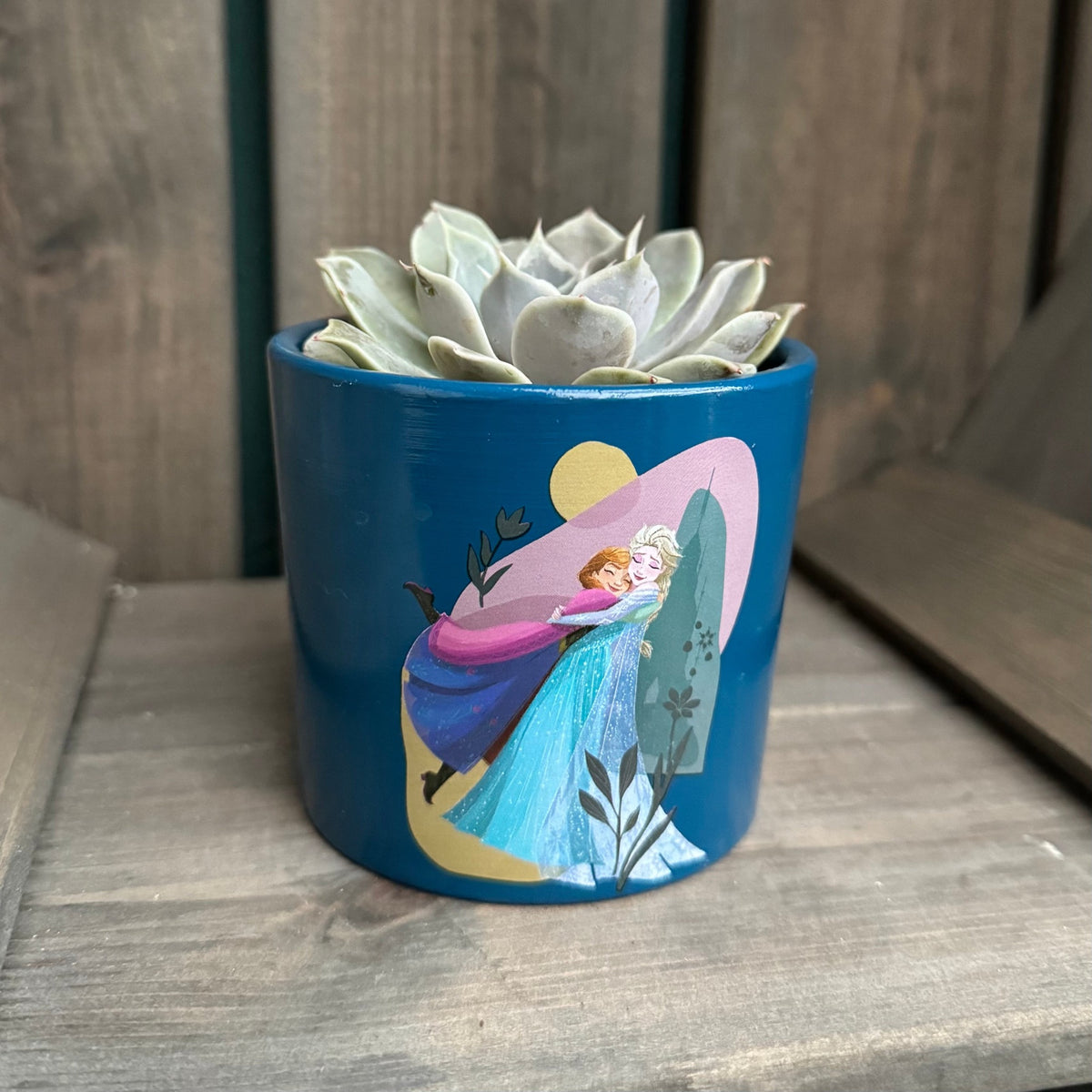 Disney Frozen Anna & Elsa House Plant Pot - Small – Southwood Garden Centre