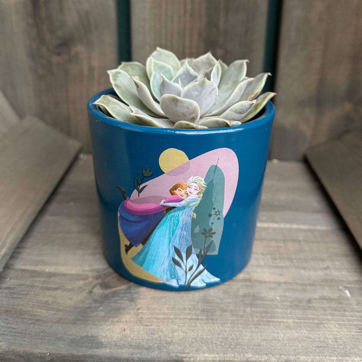 Disney Frozen Anna & Elsa House Plant Pot - Small – Southwood Garden Centre