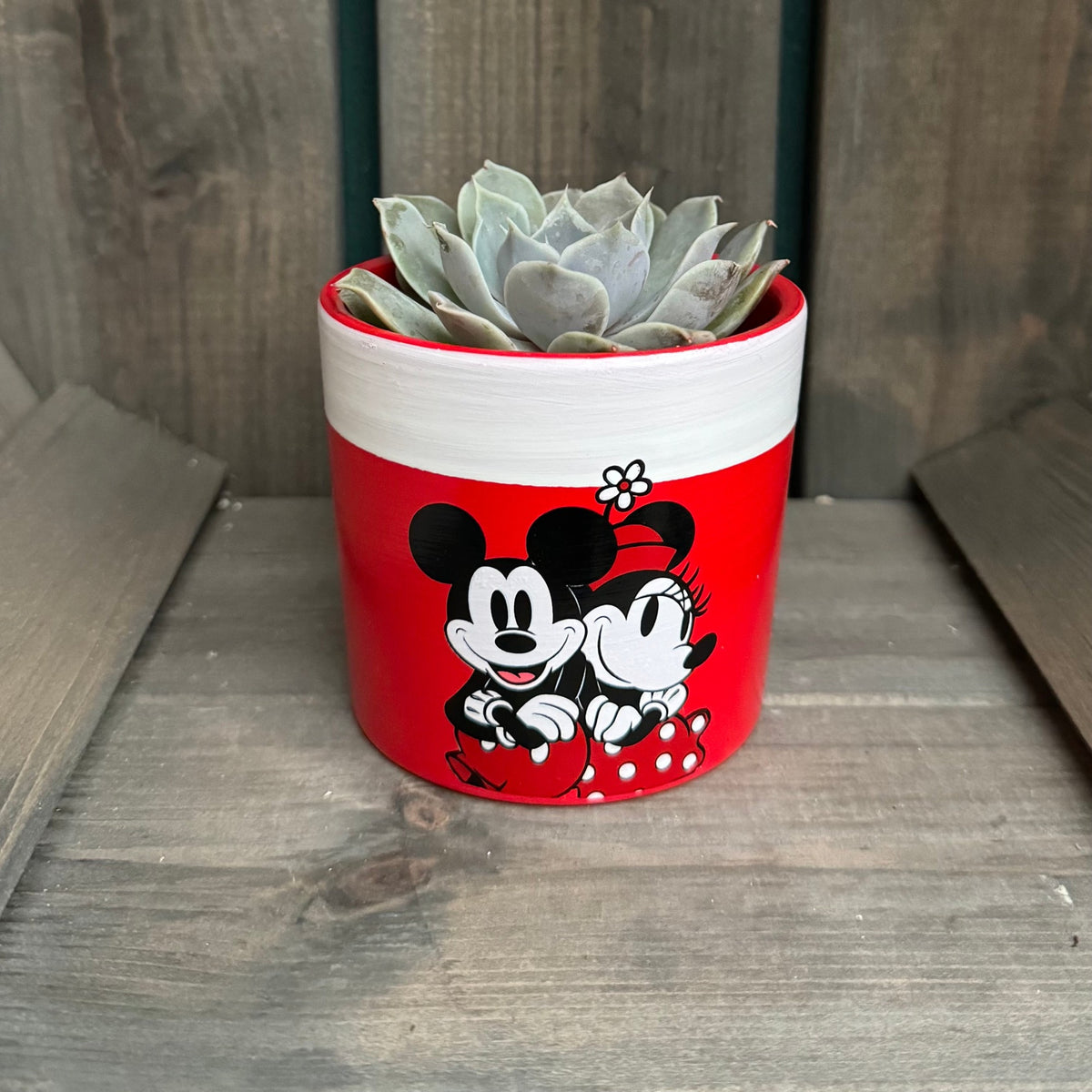 Disney Mickey & Minnie Mouse Red & White House Plant Pot - Small ...