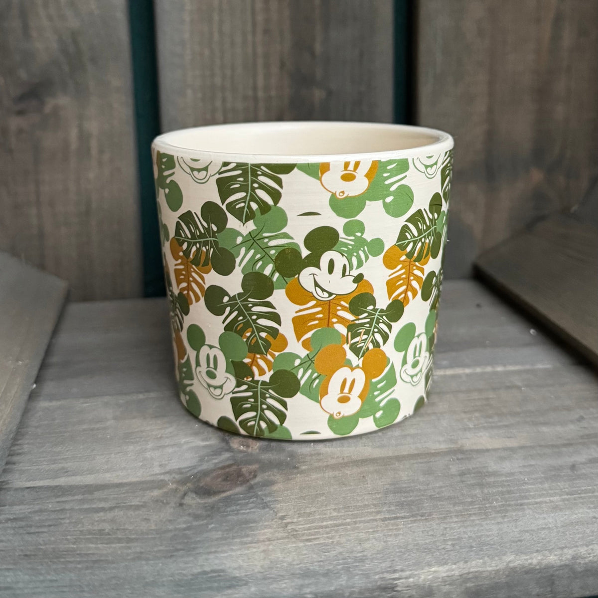 Disney Mickey Mouse Tropical Jungle Leaf House Plant Pot - Small ...