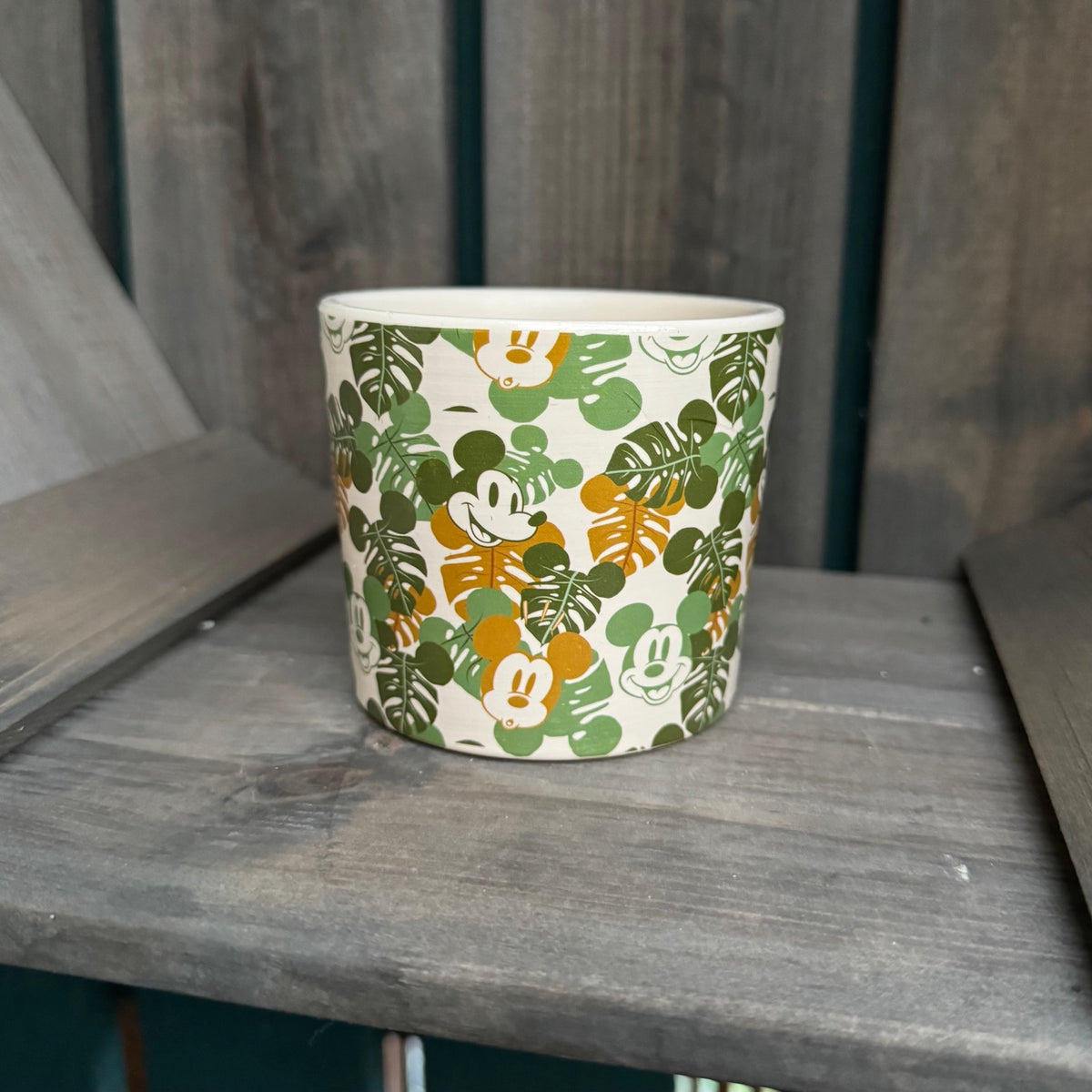 Disney Mickey Mouse Tropical Jungle Leaf House Plant Pot - Small ...