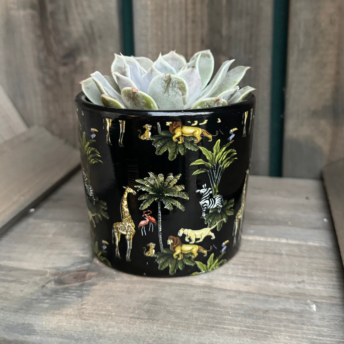 Disney Lion King Black Animal House Plant Pot - Small – Southwood ...