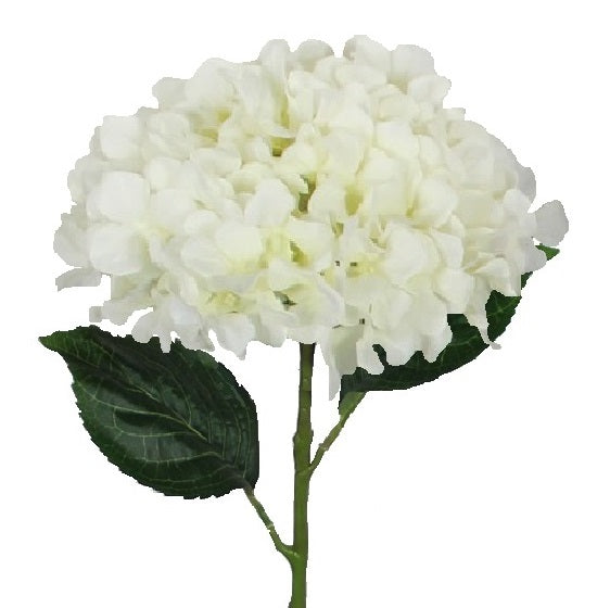53cm Cream Hydrangea Flower Stem Artificial – Southwood Garden Centre