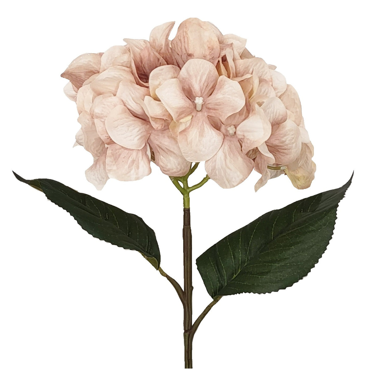 54cm Bisque Hydrangea Flower Stem Artificial – Southwood Garden Centre