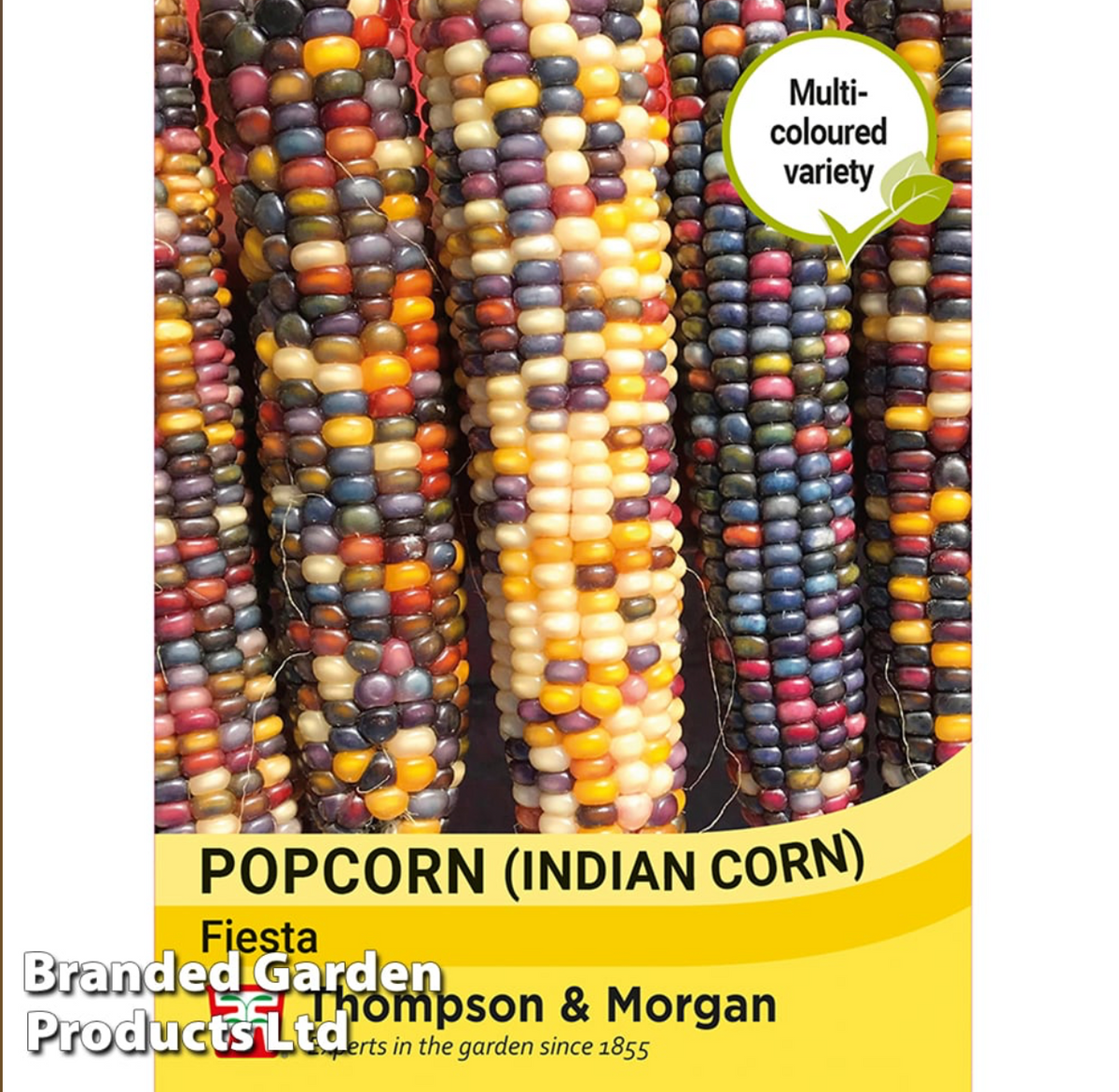 Popcorn Fiesta (Indian Corn) - Pack of Seeds – Southwood Garden Centre