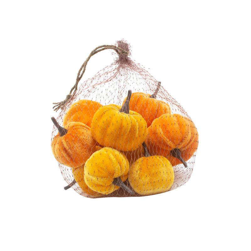 Bag of Velvet Pumpkins - Pack of 12 – Southwood Garden Centre