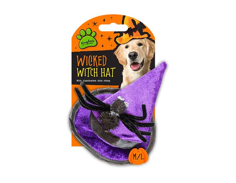 Halloween Pet Witches Hat – Southwood Garden Centre