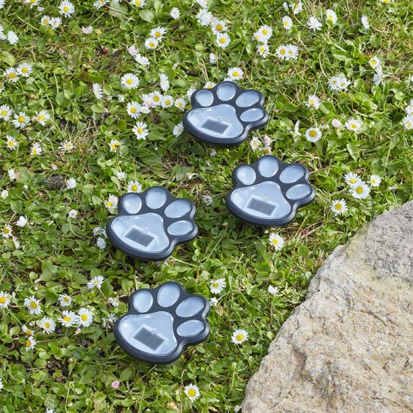 Smart Solar - Pack of 4 LED PetPaws Solar Stake Lights – Southwood ...