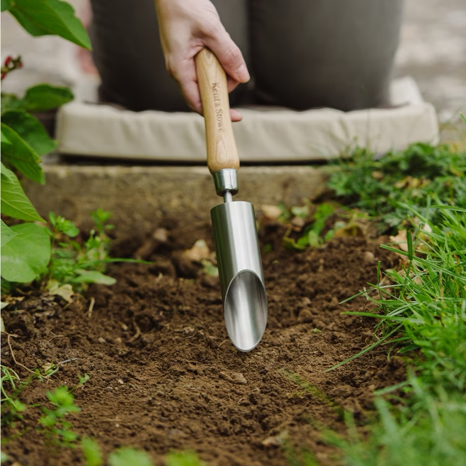 Kent & Stowe Stainless Steel Small Bulb Planter – Southwood Garden Centre