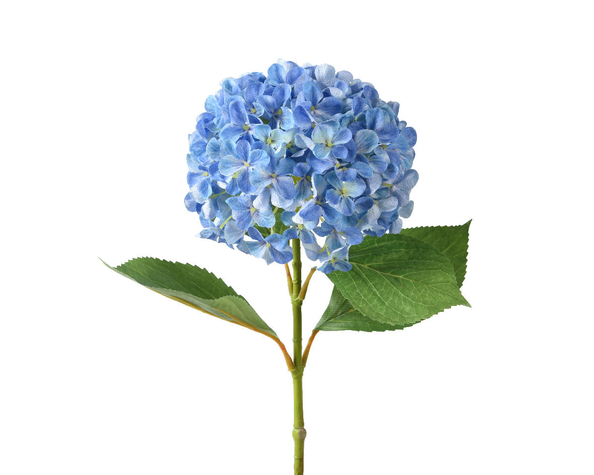 Large Blue Hydrangea Flower Stem - 67cm – Southwood Garden Centre