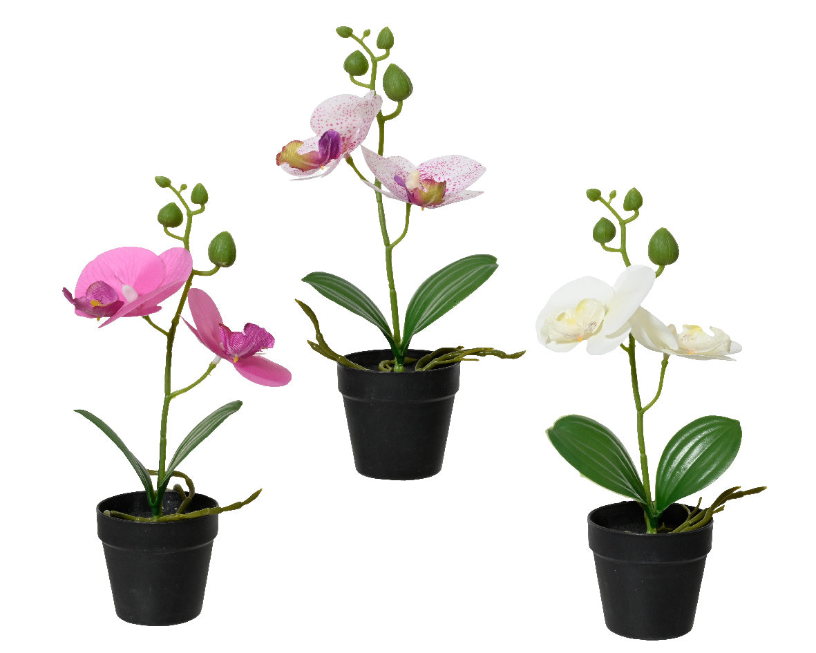 Artificial Orchid in Plastic Pot – Southwood Garden Centre