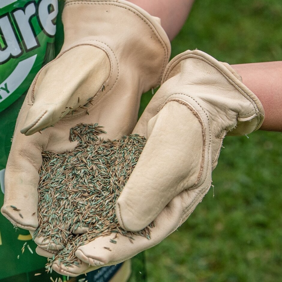 Gro-sure Multi Purpose Lawn Seed 30sqm + 20% Extra Free – Southwood ...