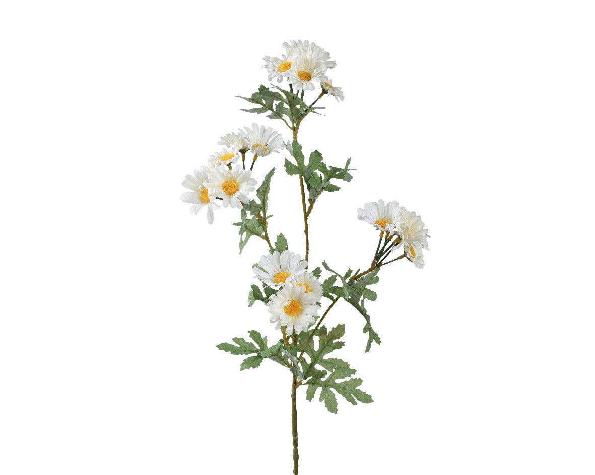 Large White & Yellow Daisy Flower Stem - 70cm – Southwood Garden Centre