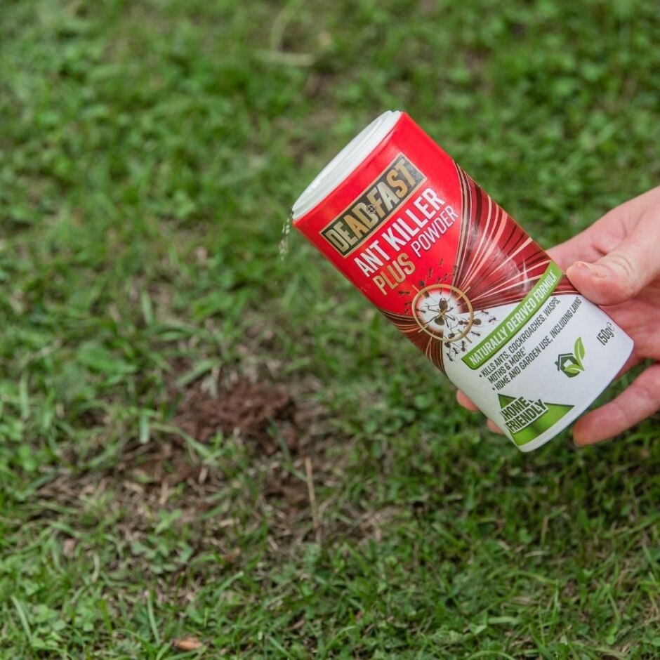 Deadfast Ant Killer Plus Powder 150g – Southwood Garden Centre