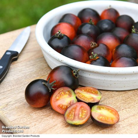 Tomato Akoya F1 1 Packet – Southwood Garden Centre