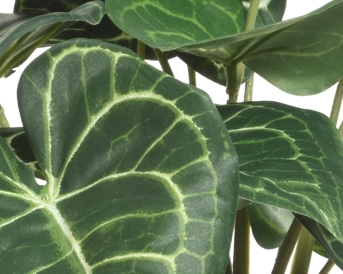 Artificial Potted Anthurium Clarinervium House Plant – Southwood Garden ...