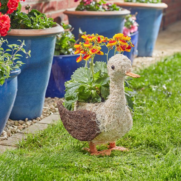 Daphne Duck Rattan Planter – Southwood Garden Centre
