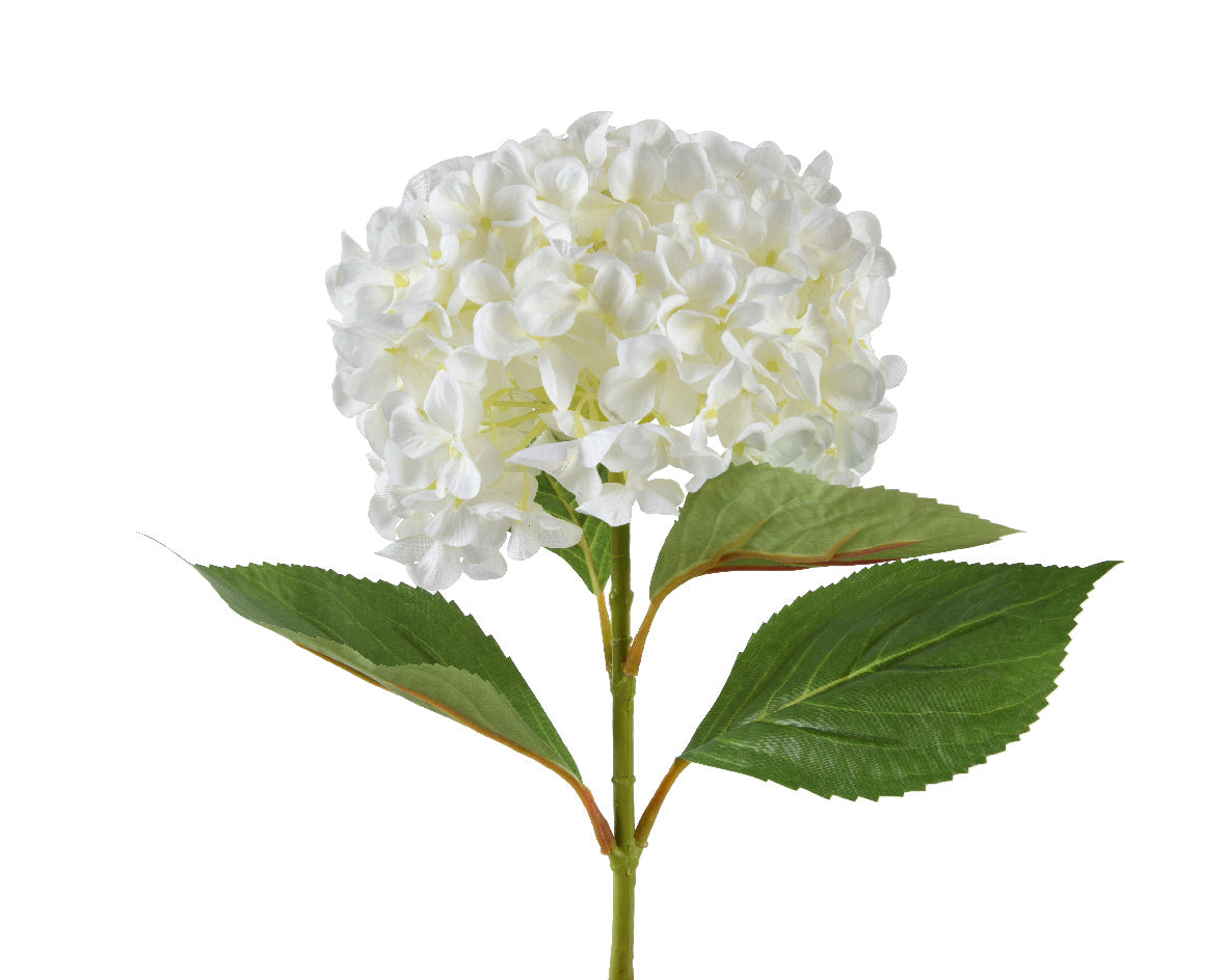 Large White Hydrangea Flower Stem - 67cm – Southwood Garden Centre