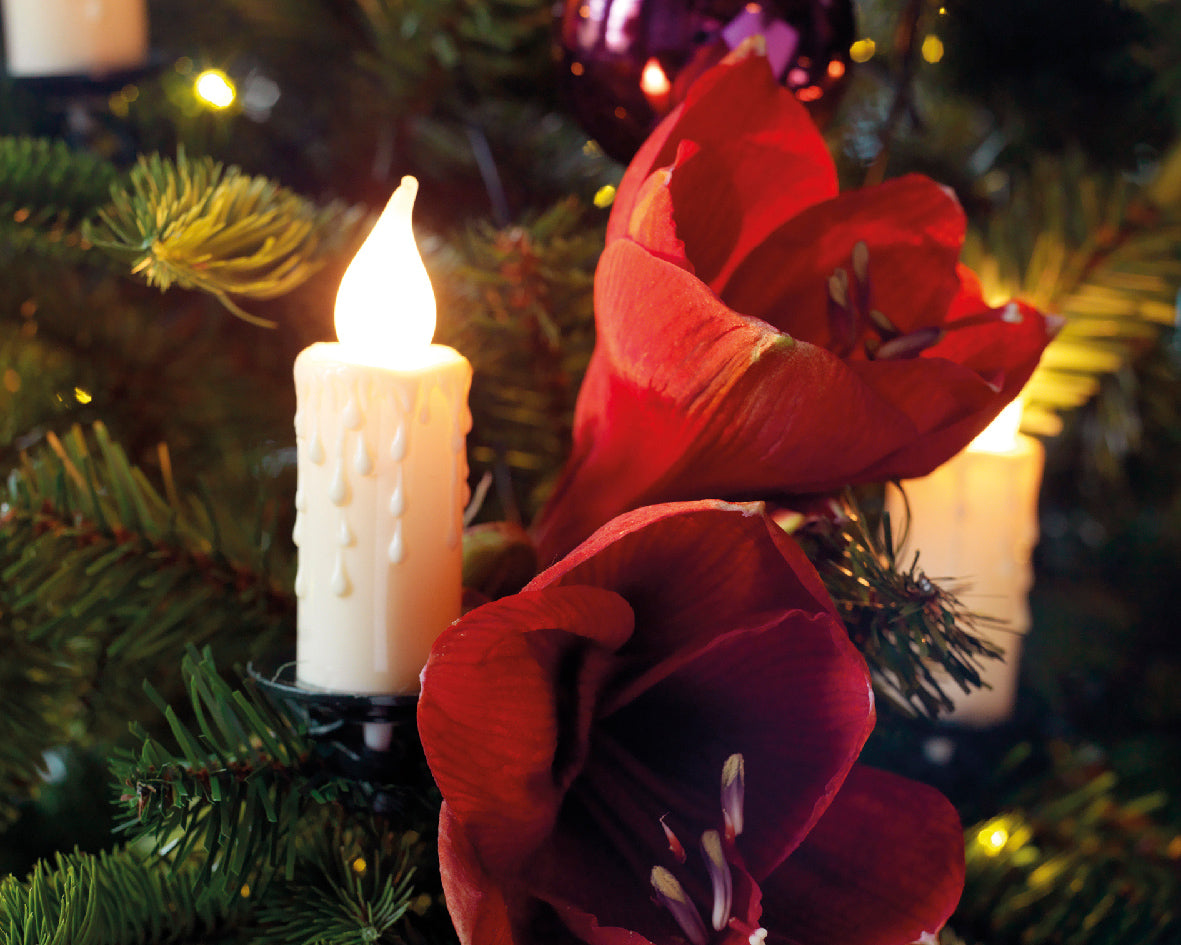 Vintage Warm White Candle Clip on String Lights with Green Cable- 30 L ...